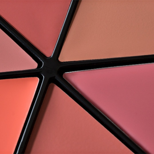 COLOR MASTER LIP PALETTE